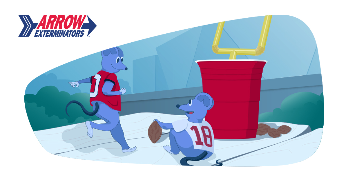 Rat & Mice Control & Removal from Arrow Exterminators