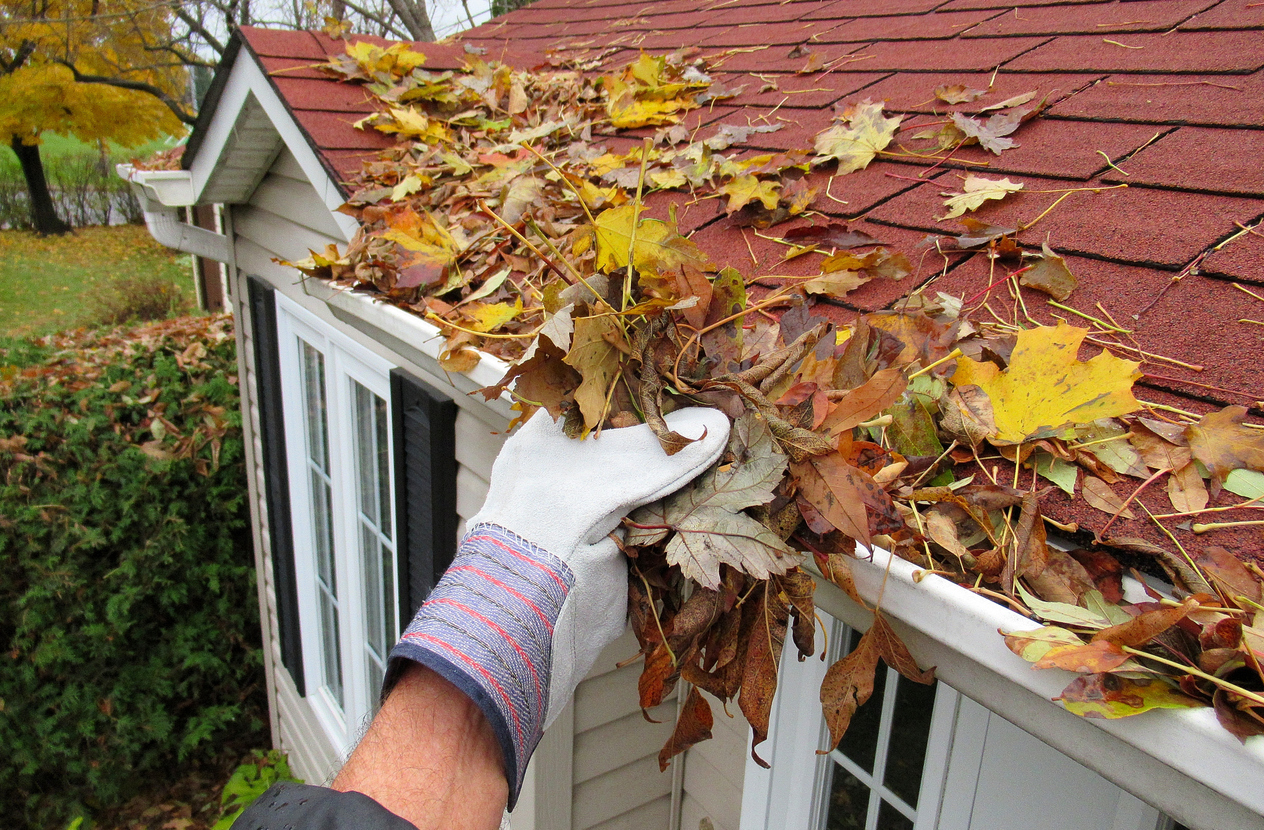Moisture Control: Crawl Space Vents & Gutter Guard Installation
