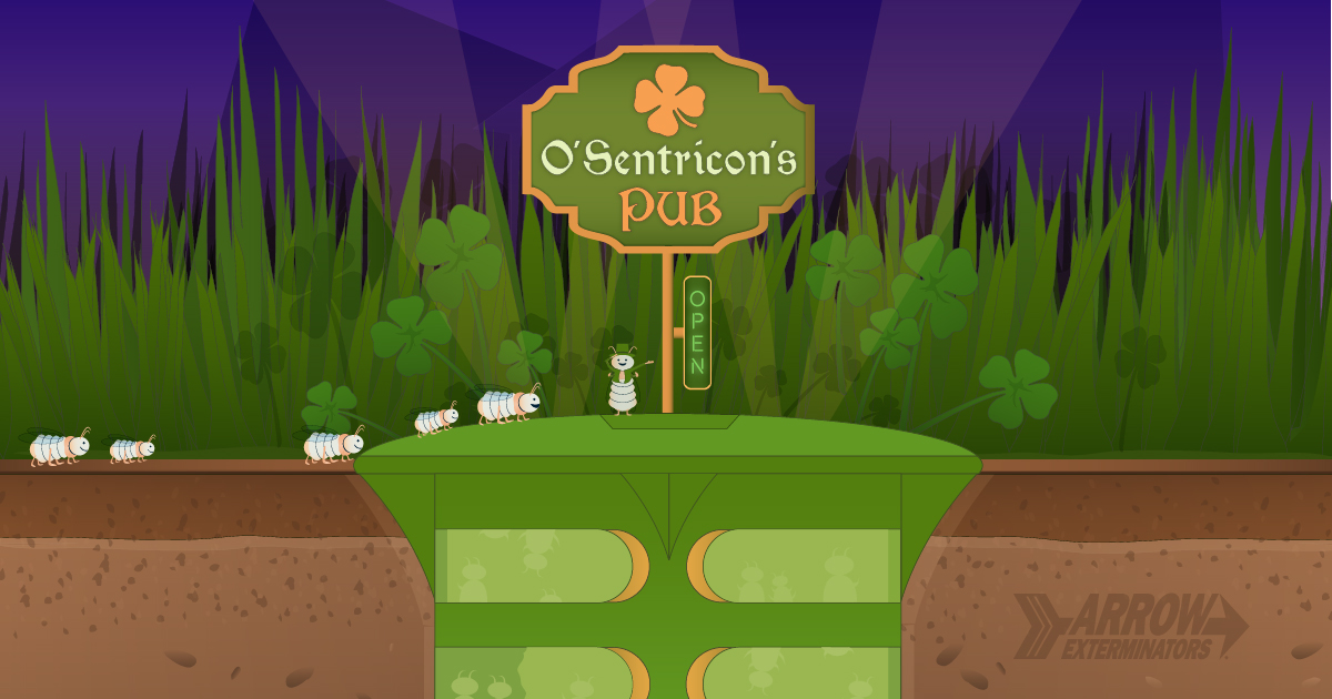 Sentricon: Termite Treatment & Baiting System by Arrow Exterminators