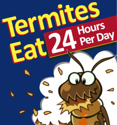 Bug Out Pest Control Clinton Nc | Pest Control